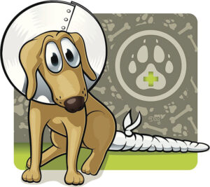 Docking Puppy Tails At 8 Weeks: Is It Legal? How To Do It?