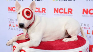 Is The Target Dog Still Alive? Find The Truth Behind!