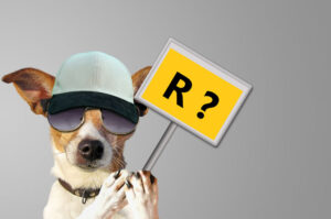 73+ Female Dog Names That Start With R Will Inspire You